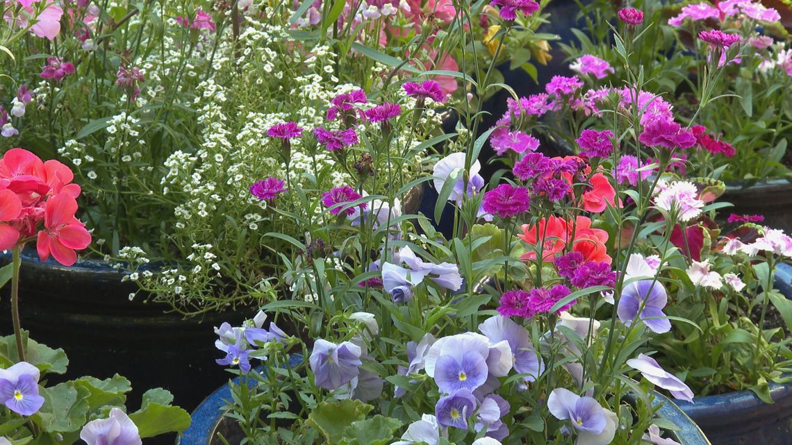 Joanie Butler died five years ago. This is why she's still alive ...