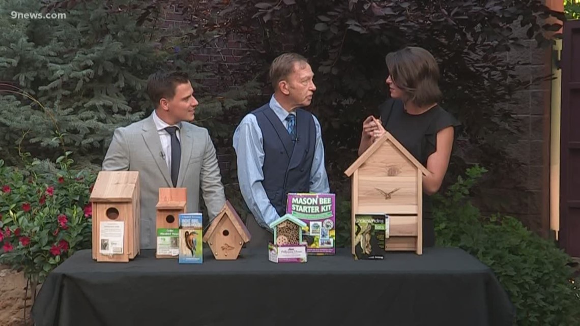 Proctor's Garden: Giving birds, bees and bats a home in your garden ...