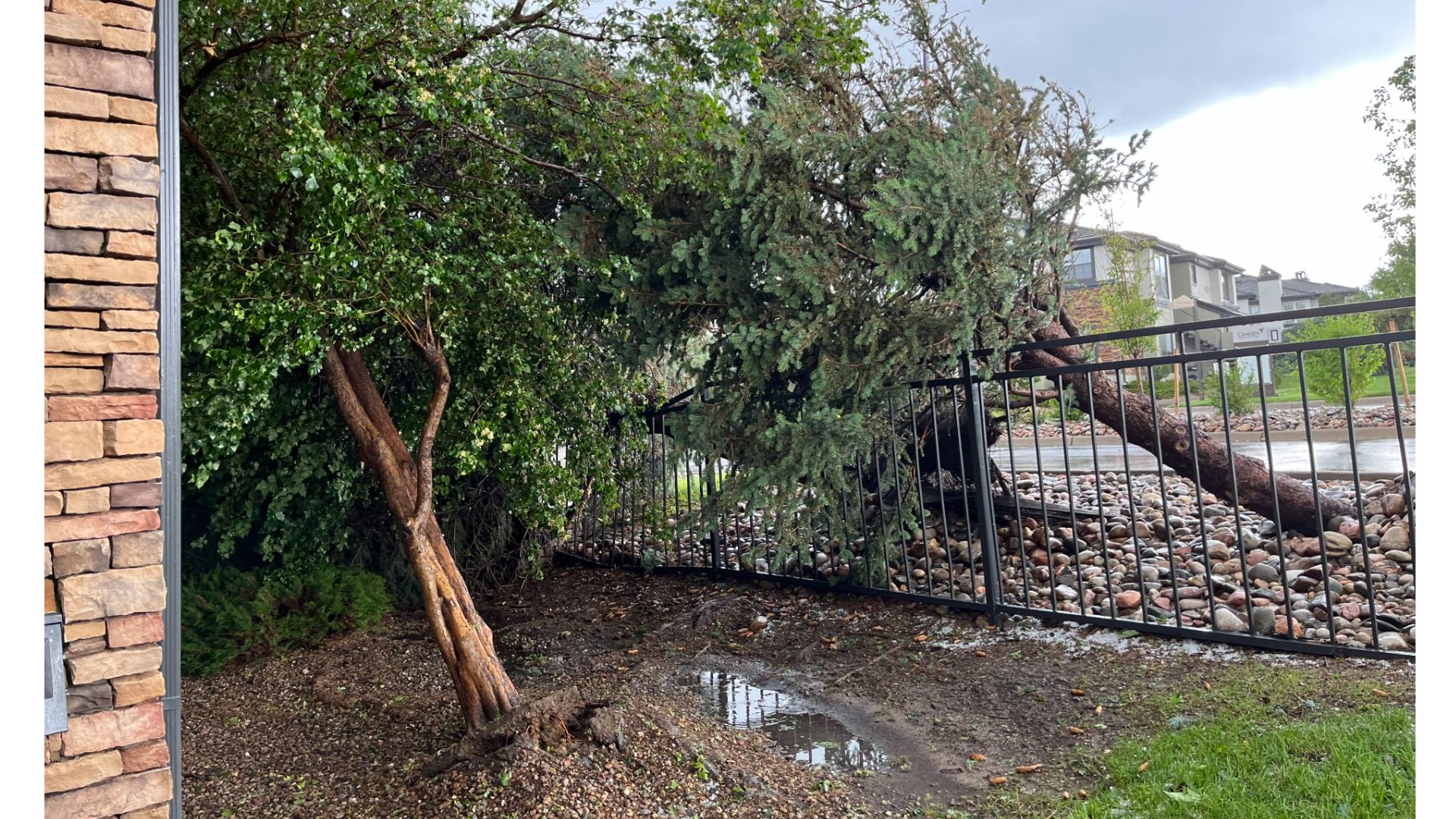 Tornado causes damage in Highlands Ranch, Colorado | 9news.com