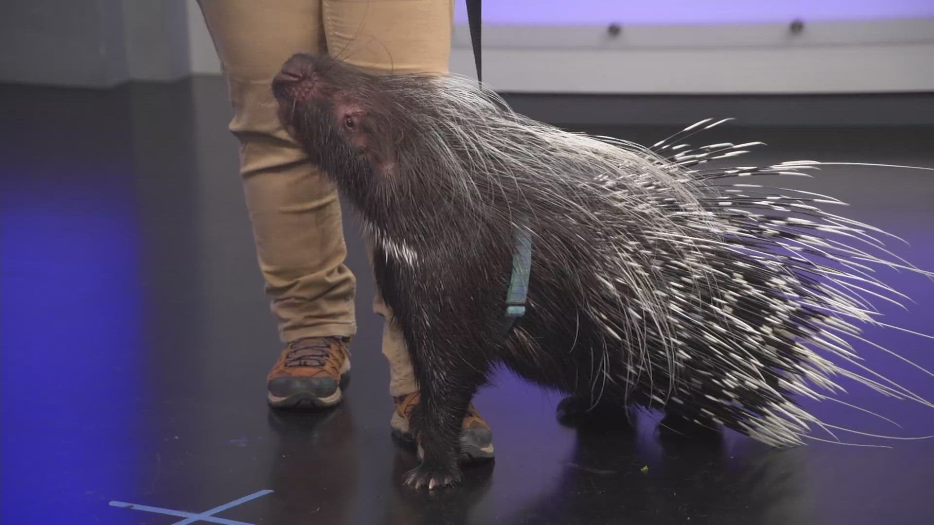 Jimmy Swaggart Dies at 90 After Heart Attack in Baton Rouge | 9news.com