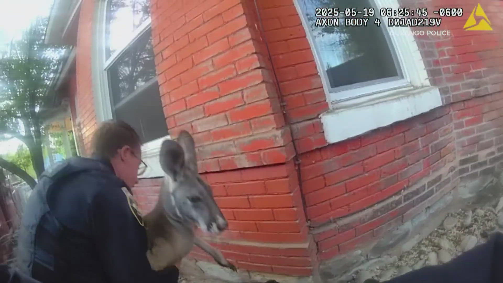 Trucker wants name to be Ynot Bubba | 9news.com