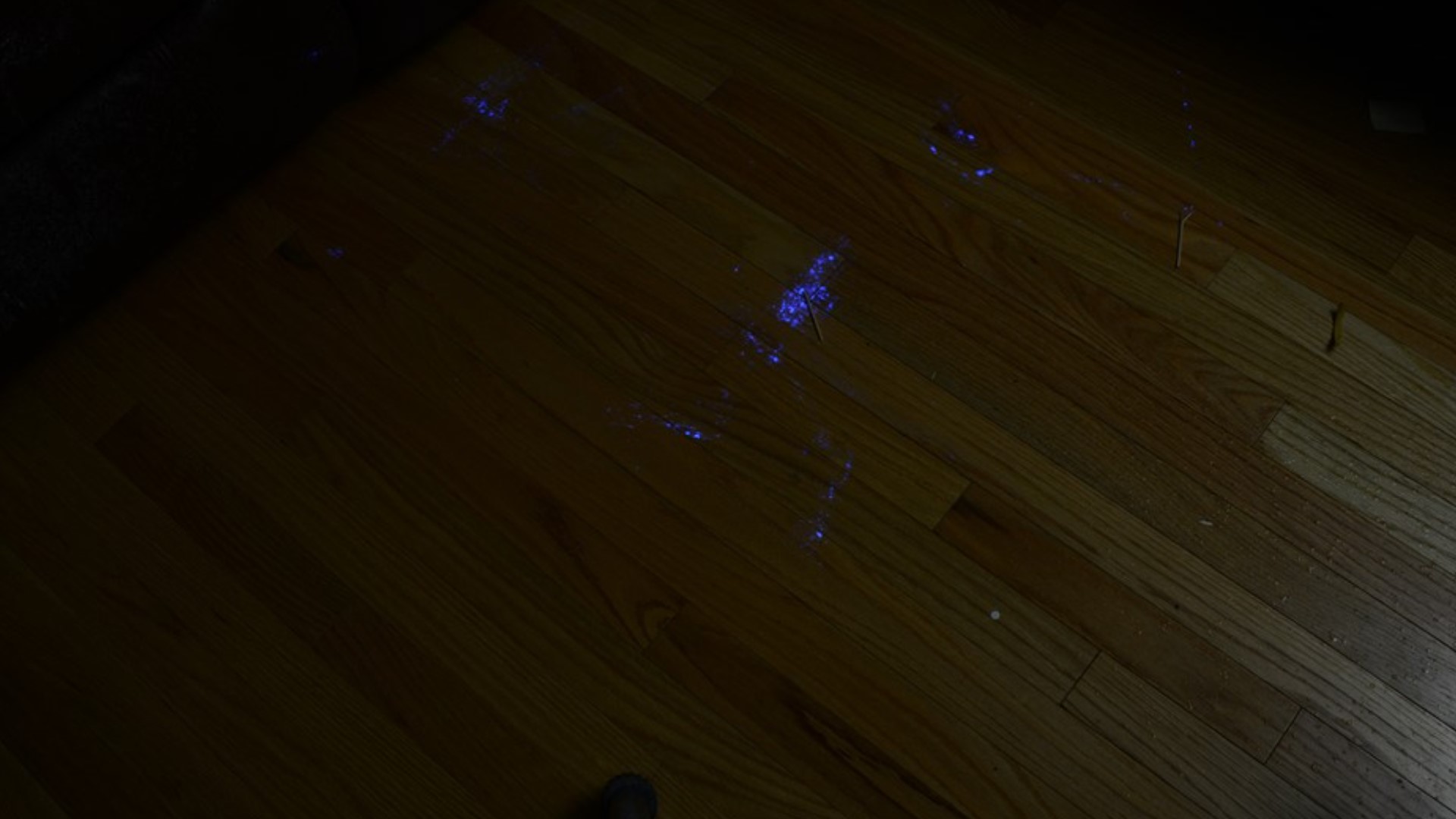 DNA expert confirms blood was found in Mark Redwine's house | 9news.com