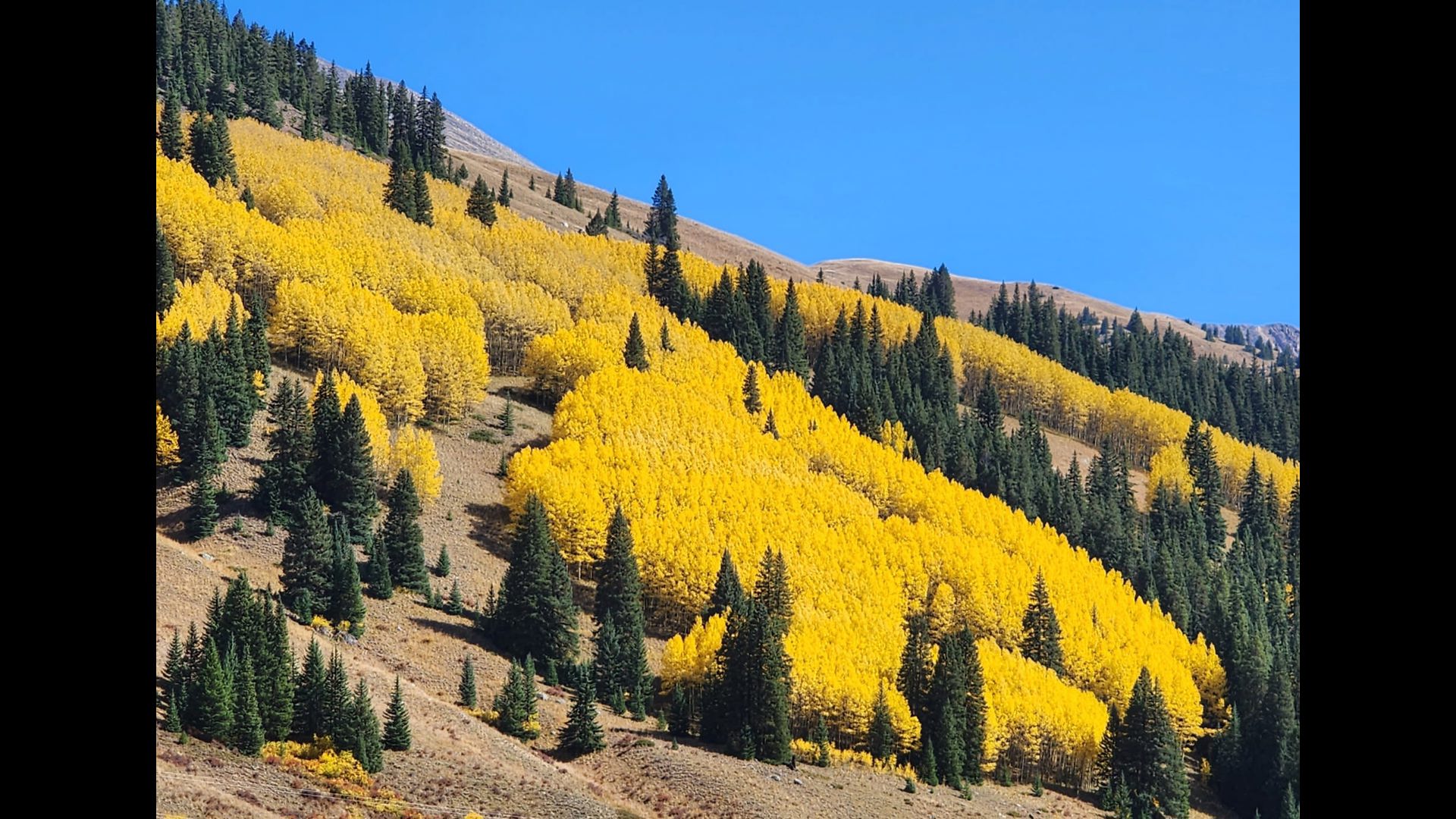 Colorado fall colors guide: When and where leaves peak in 2023 | 9news.com