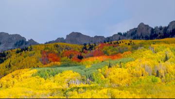 Colorado fall colors guide: When and where leaves peak in 2022 | 9news.com