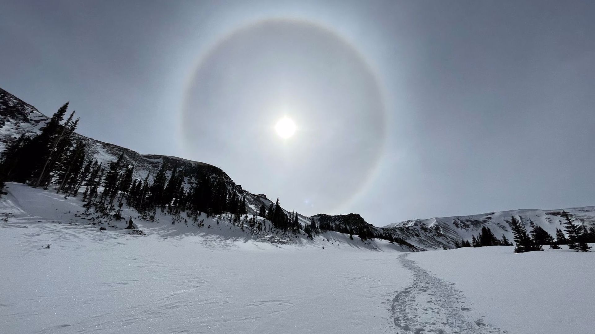 Colorado's history with area codes | 9news.com