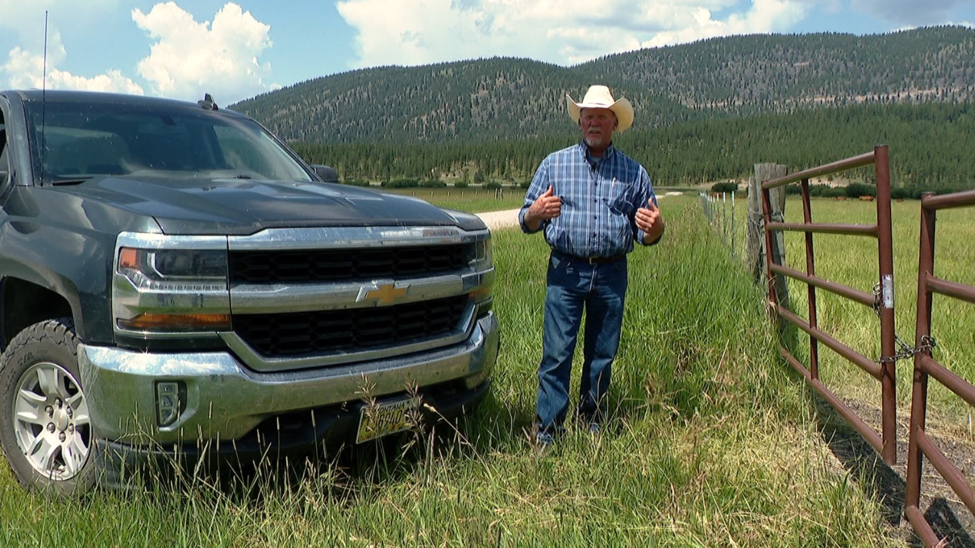 Montana ranchers, agencies work together to deal with wolves | 9news.com