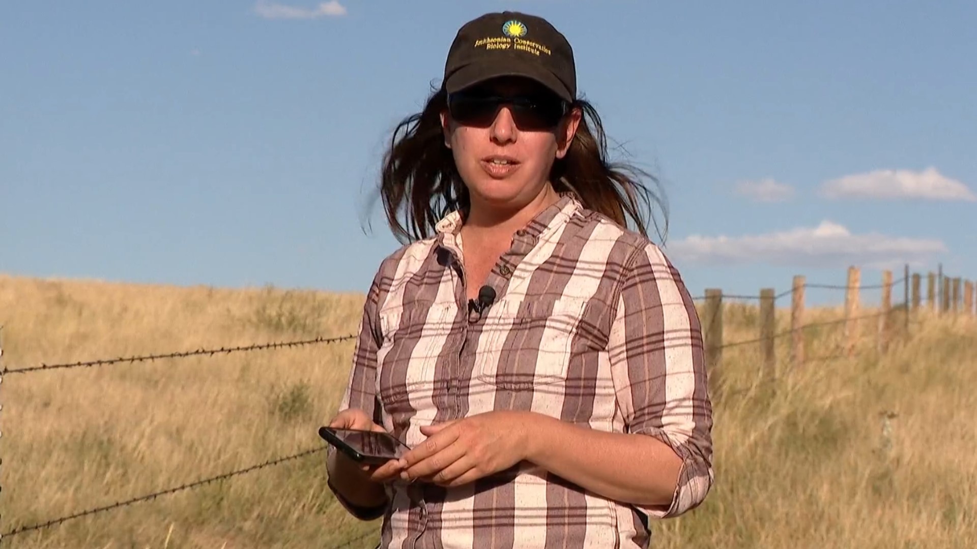 Colorado helps another Western state to repopulate prairie animal ...