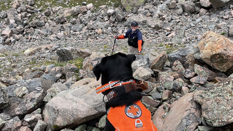 New clue may solve mysterious disappearance of Michelle Vanek | 9news.com