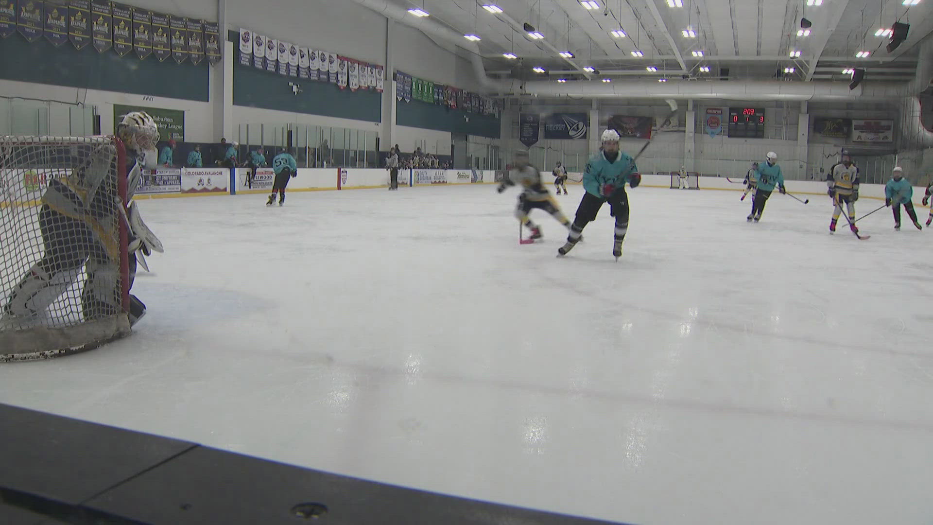 US Hockey Hall of Fame 2025 class announced | 9news.com