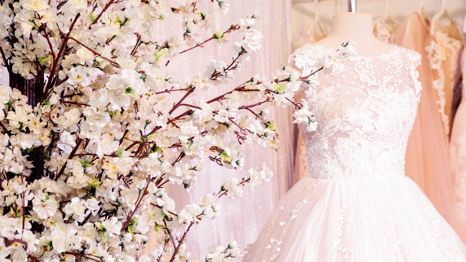 9Things to do in Denver & Colorado this weekend: January 13-15 | 9news.com