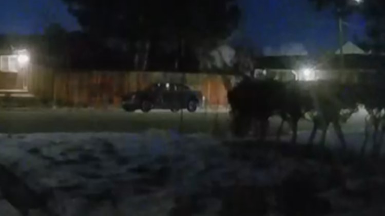 Crash-resistant fuel systems added to Med-Evac helicopters | 9news.com