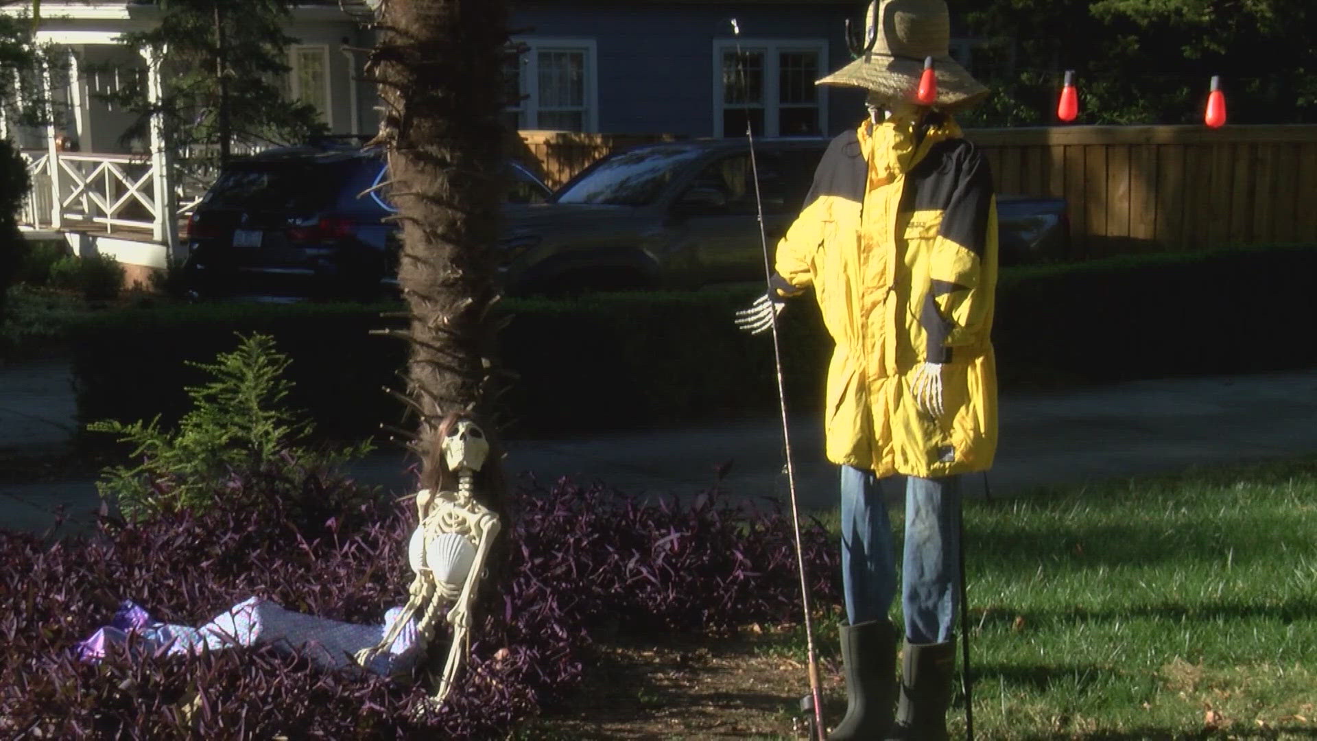 North Carolina man pokes fun at UNC head football coach, Bill Belichick ...