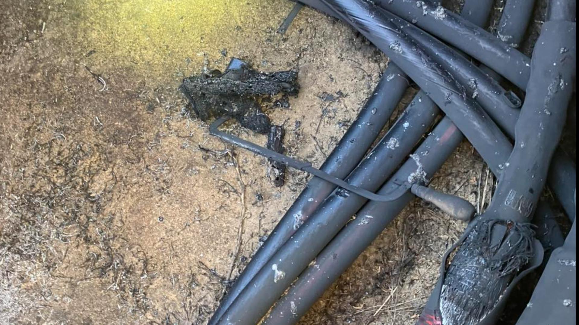 Police looking for electrocuted person who walked away after cutting ...