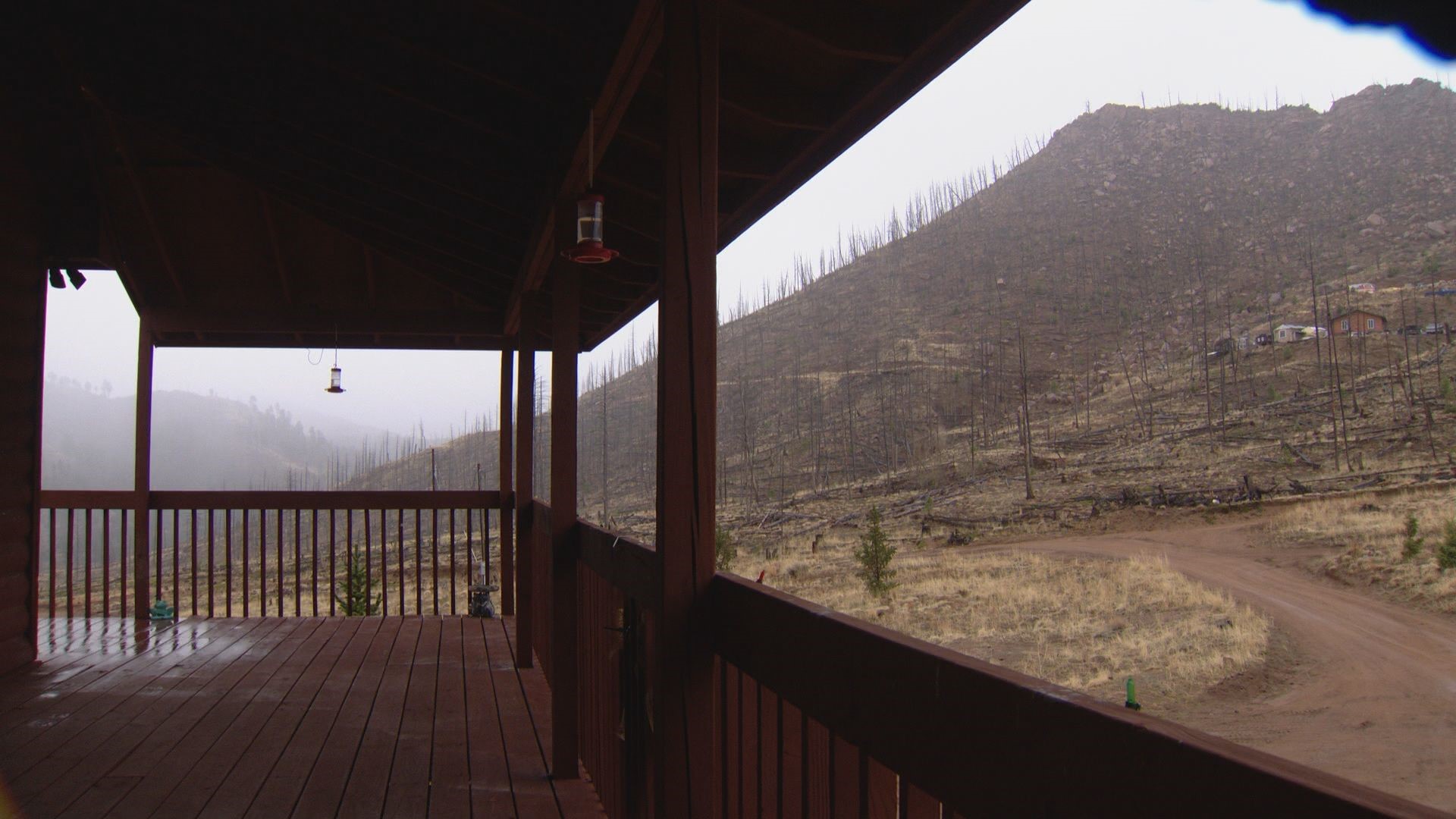 The Hayman Fire, 20 years later | 9news.com