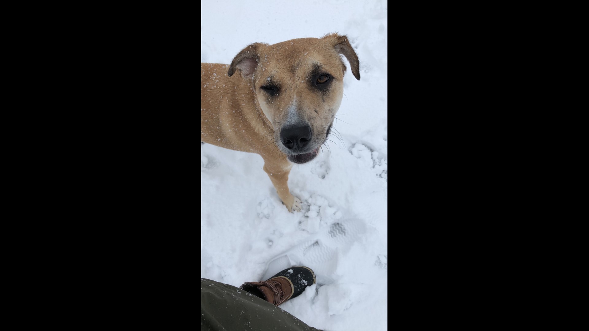 Bomb Cyclone: Colorado's 2019 weather event was the strongest ever ...