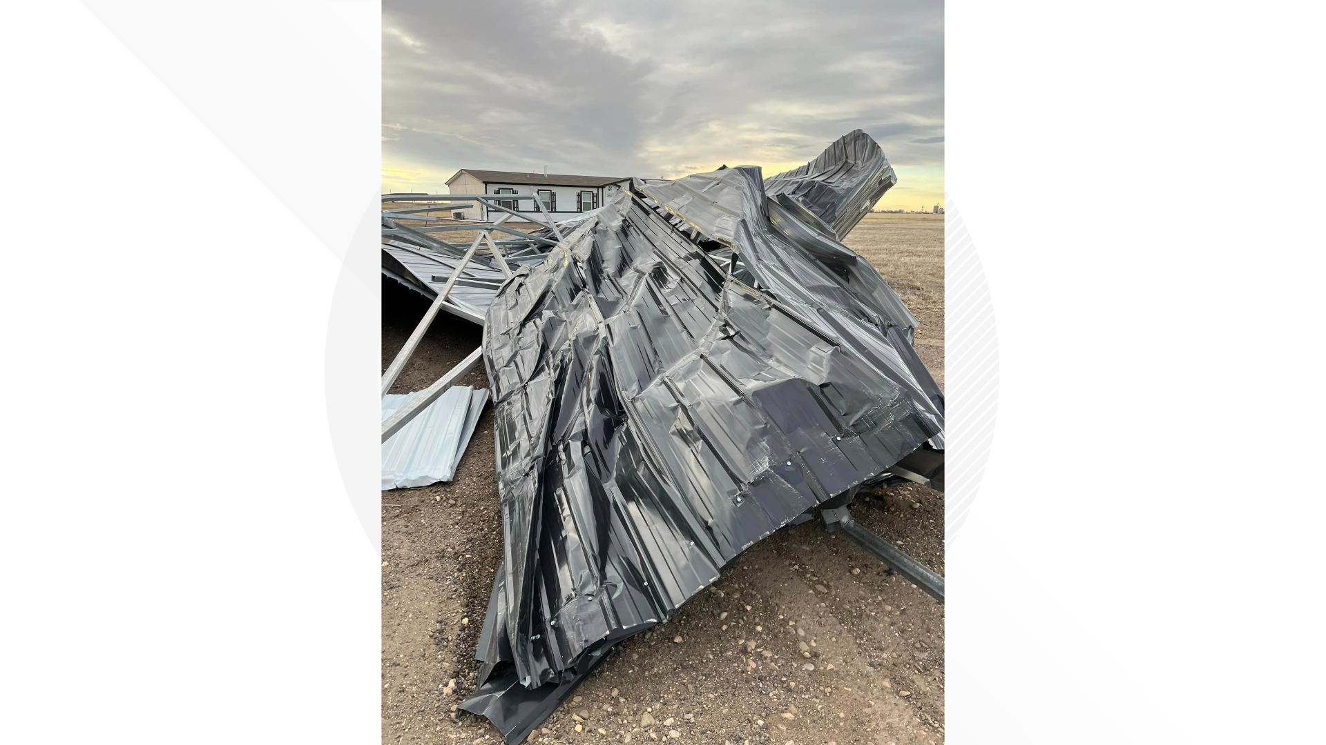 Wind destroys buildings at Pierce animal rescue | 9news.com