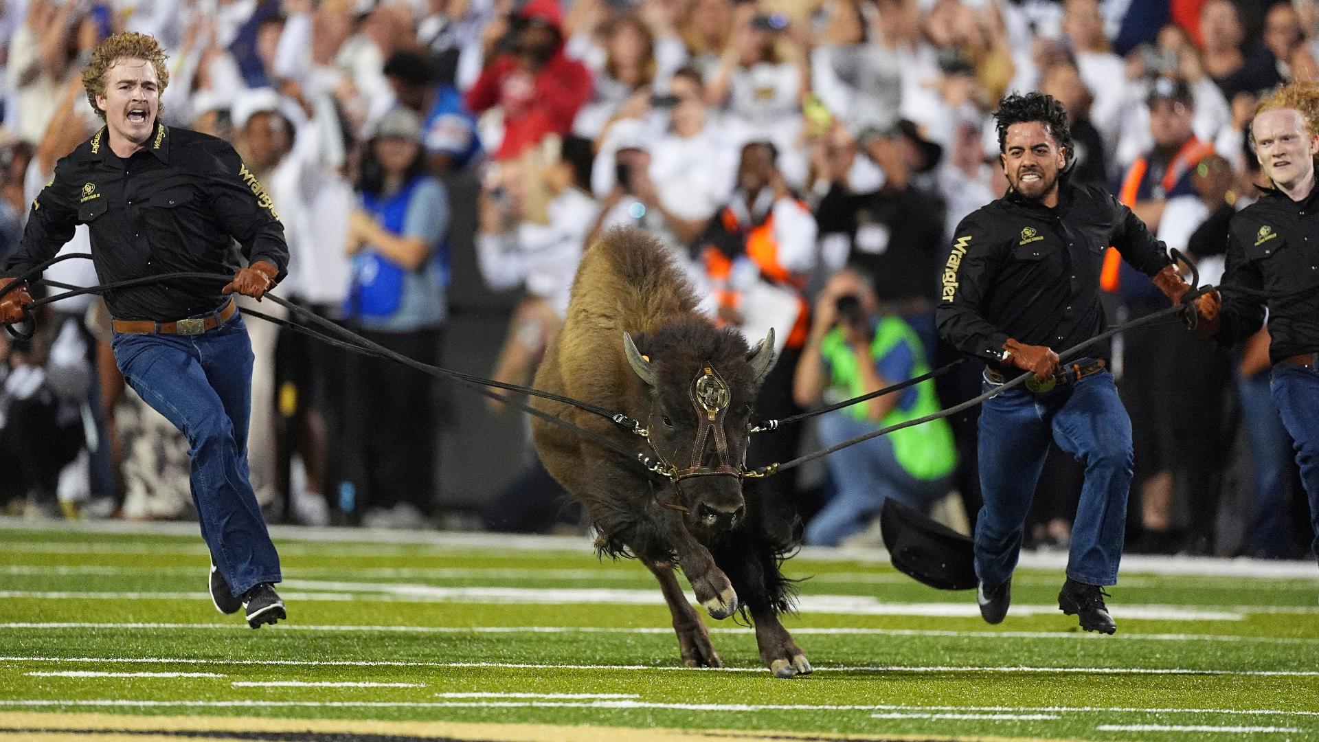 Colorado Buffaloes vs. TCU set for earlier kickoff on FOX | 9news.com