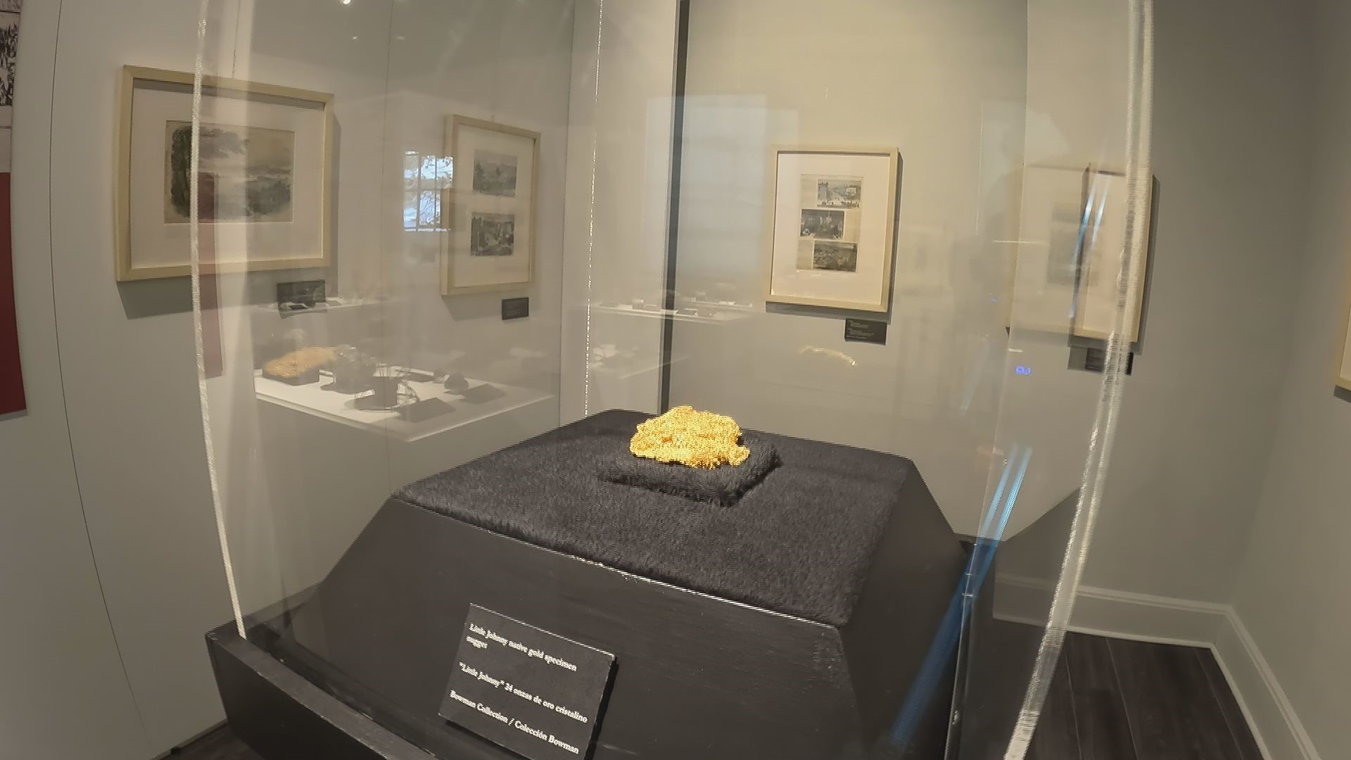 One of Colorado’s biggest gold nuggets on display in Colorado | 9news.com