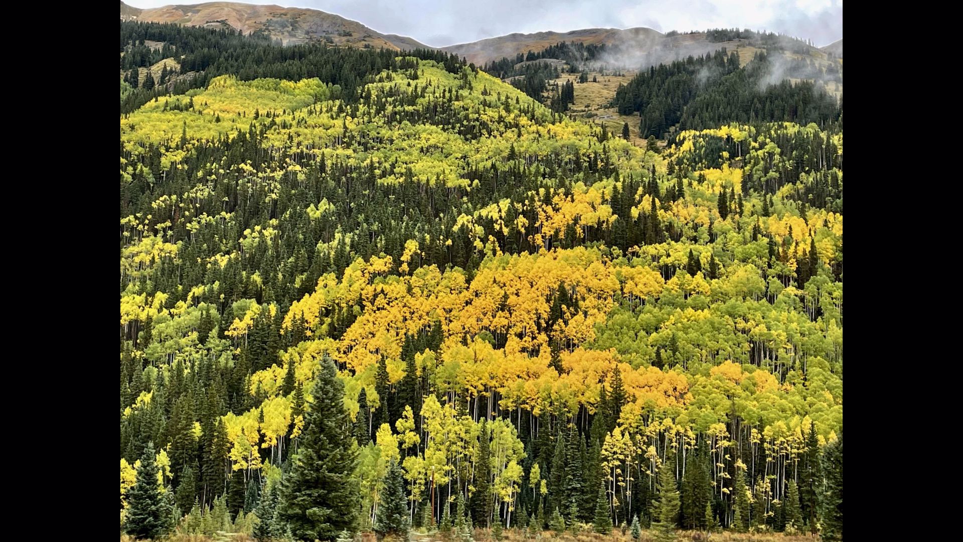 Colorado fall colors guide: When and where leaves peak in 2022 | 9news.com
