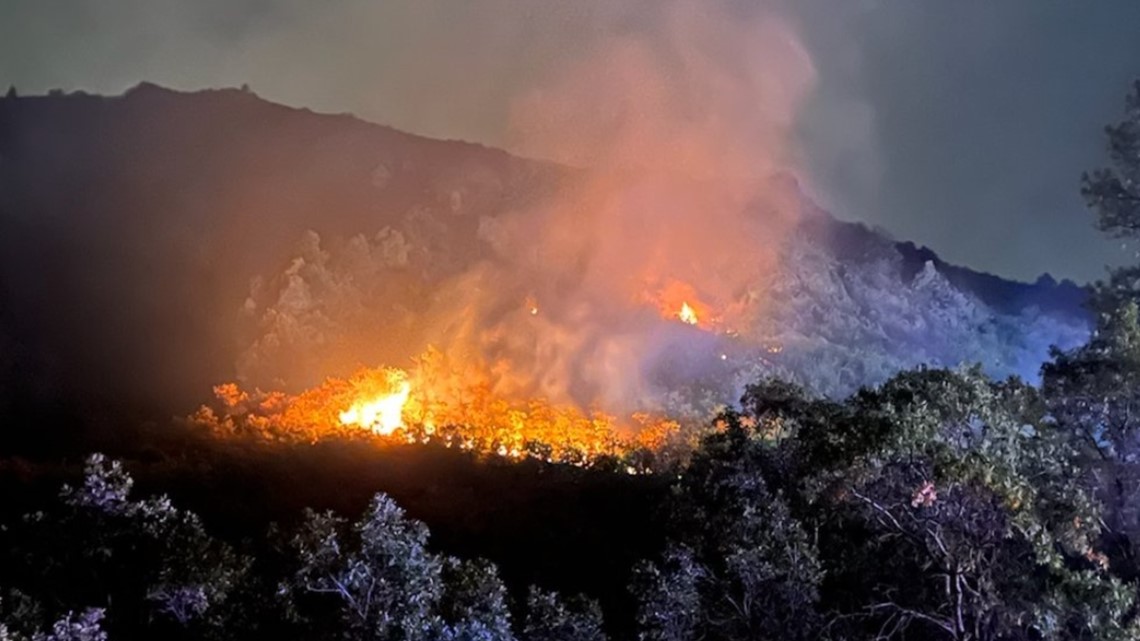 Wildfire burns half an acre in Waterton Canyon | 9news.com
