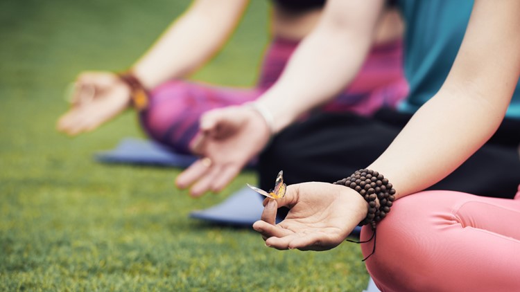 Yoga empire founder from Colorado sentenced to 4 years for tax charge ...