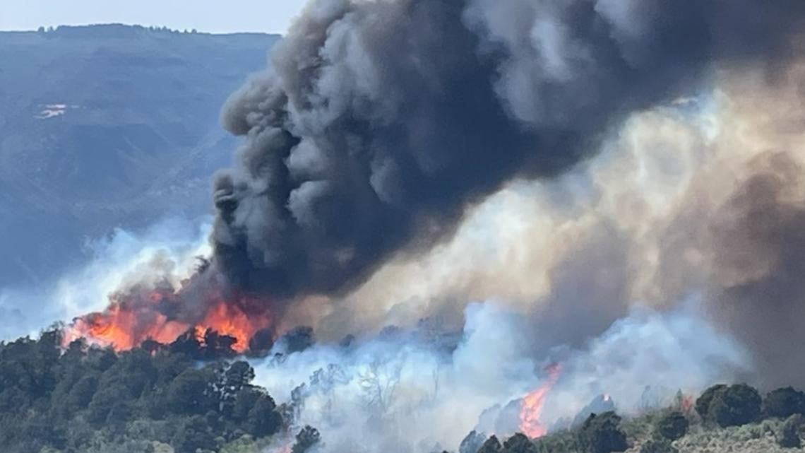 Western Colorado wildfire grows to more than 12,000 acres | 9news.com