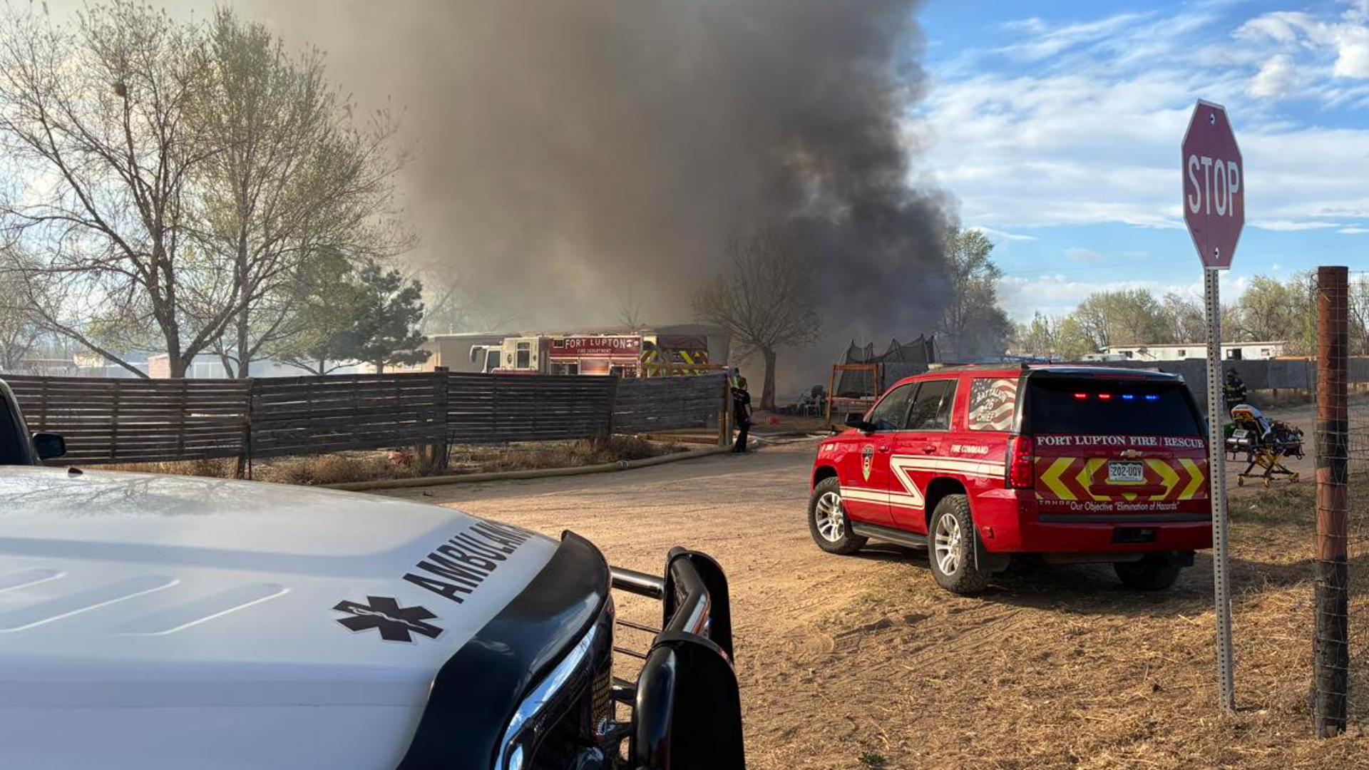 Farm animals killed in fire | 9news.com
