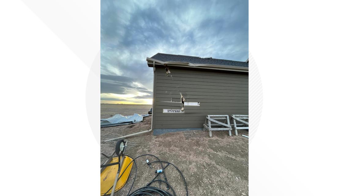 Wind destroys buildings at Pierce animal rescue | 9news.com