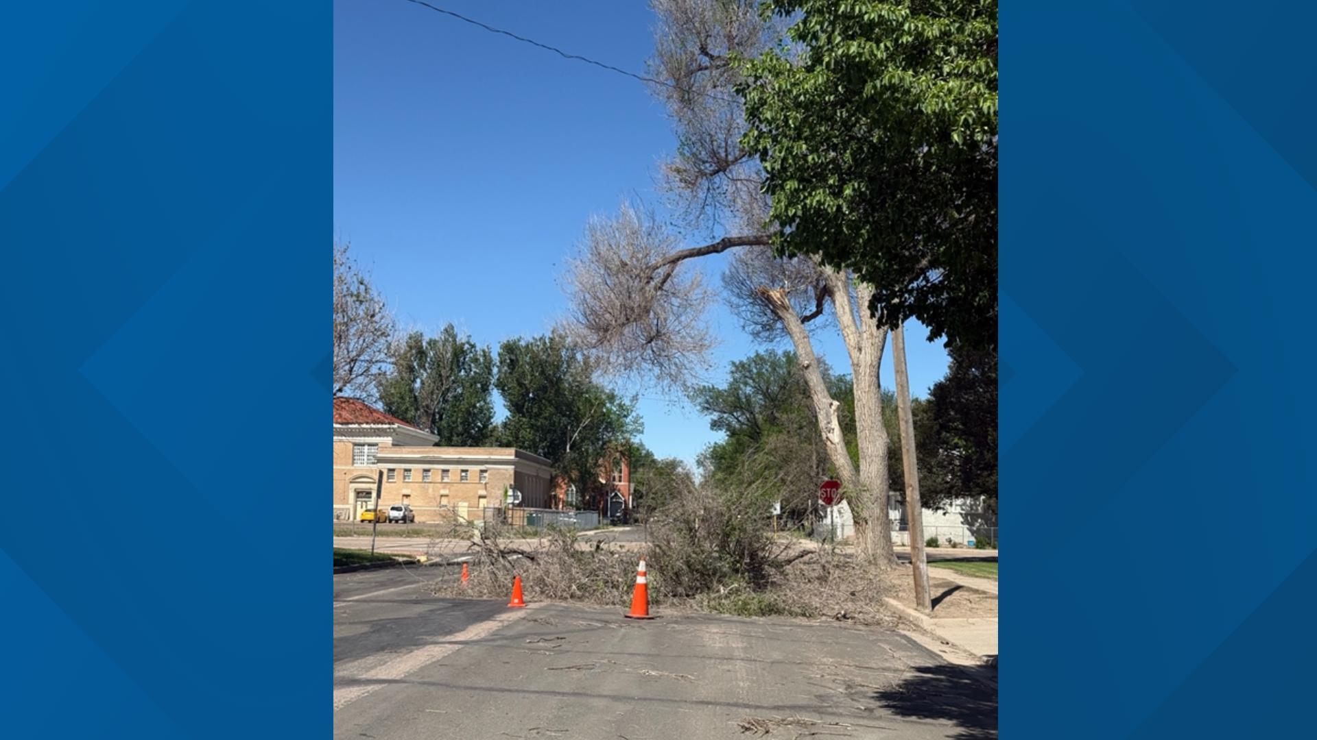 'Dust storm' causes downed trees, debris in Brush | 9news.com