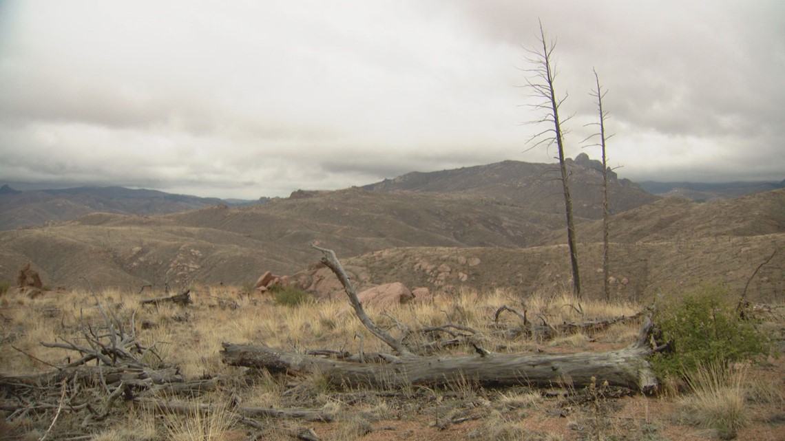 The Hayman Fire, 20 years later | 9news.com