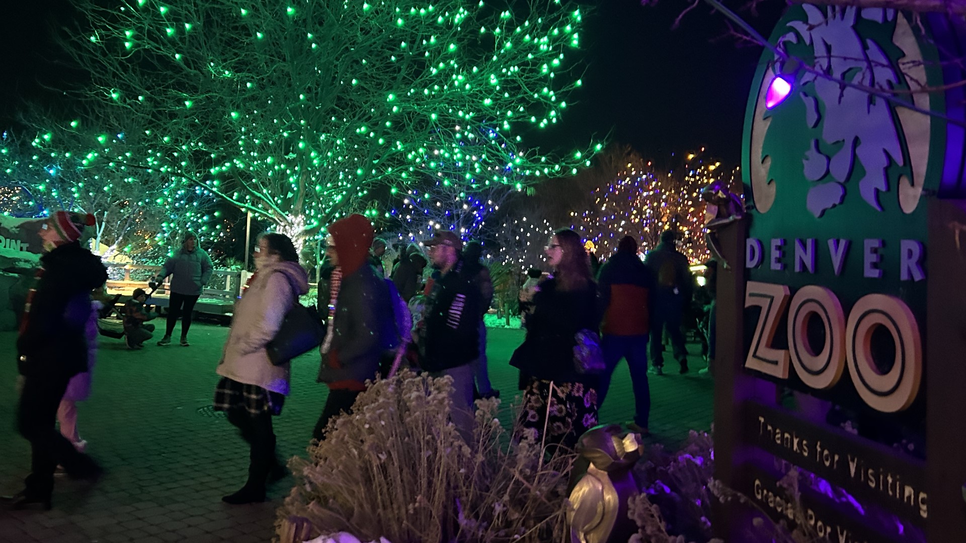 Denver Zoo Lights help attract visitors in winter months | 9news.com