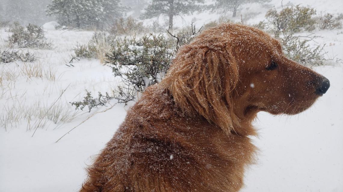 PHOTOS: September snowfall in Colorado | 9news.com