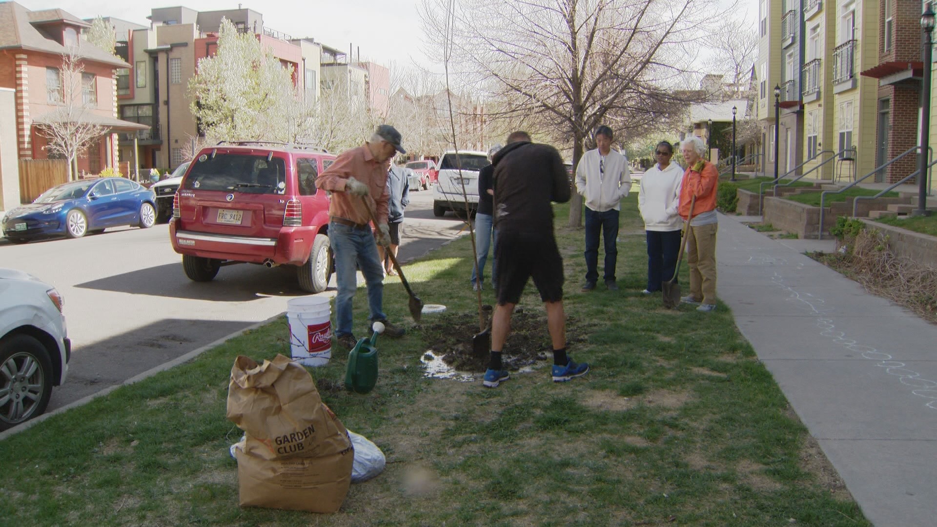 Combating climate change, warming in Denver by planting trees | 9news.com