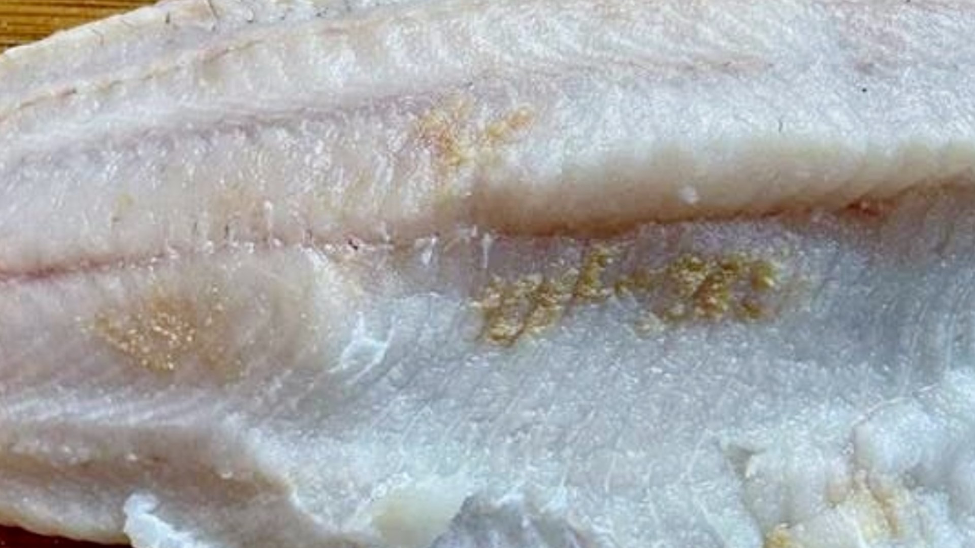 Rare ‘Sandy Flesh’ disease found in a walleye at Lake Pueblo | 9news.com
