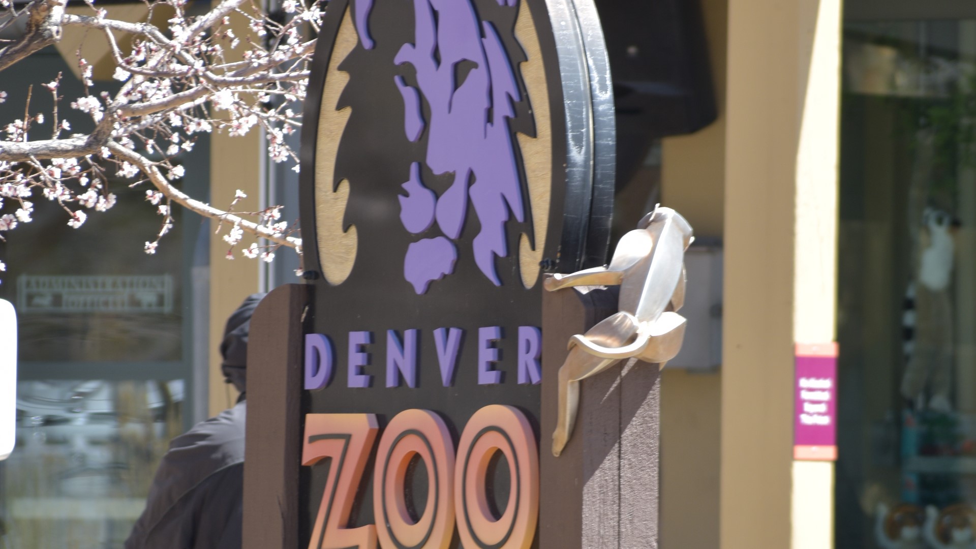 Why can't I see the birds at the Denver Zoo? | 9news.com