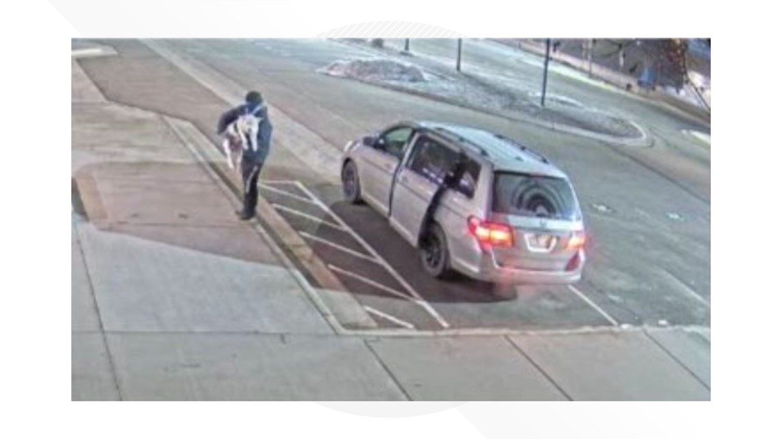 Sick dog dies at Denver shelter, animal protection says | 9news.com