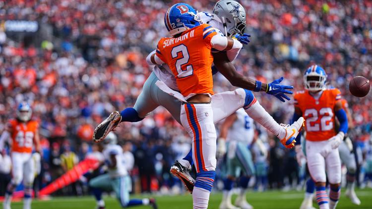 Colorado hikers track pikas with Pika Patrol app | 9news.com