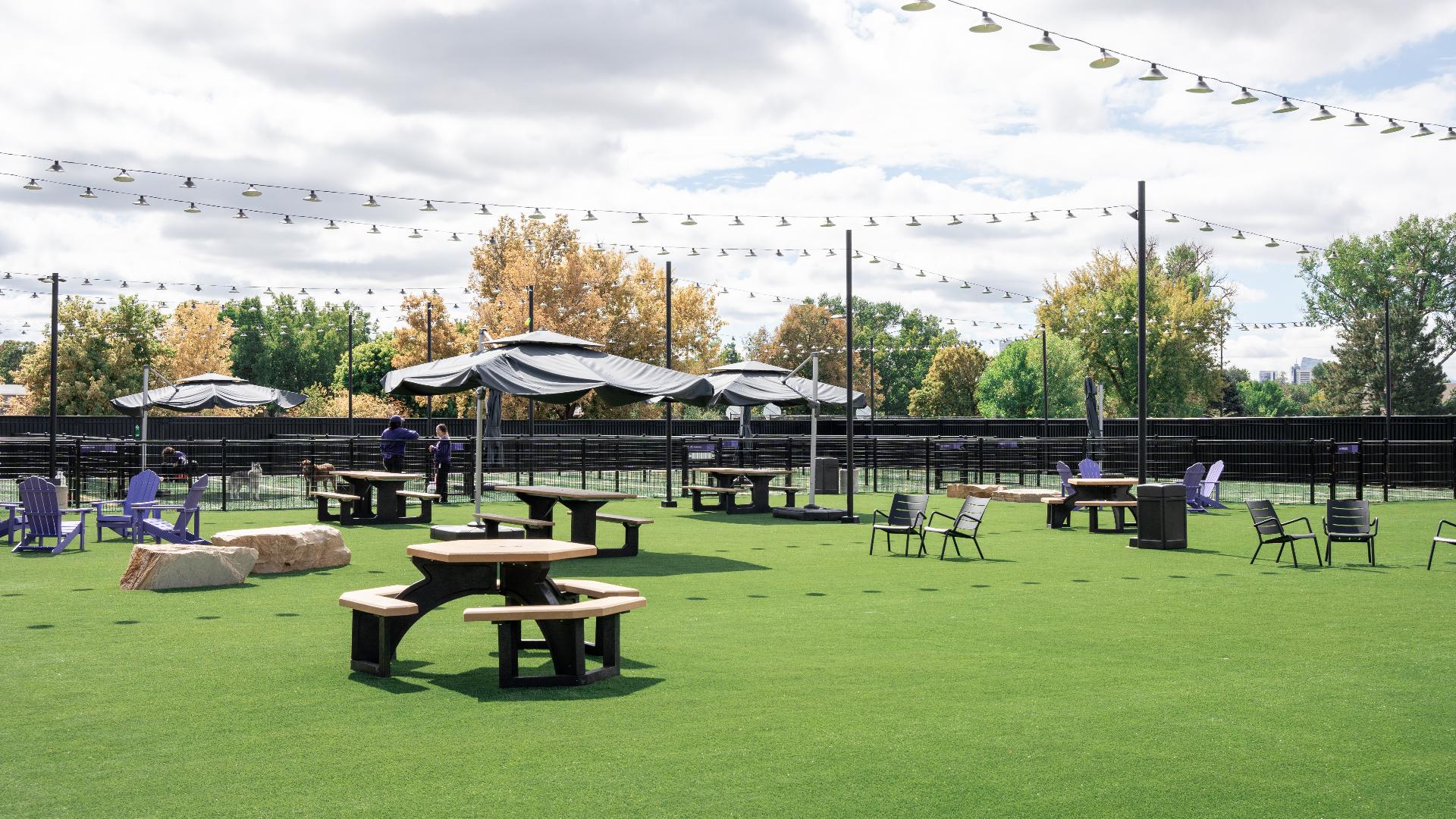 Skiptown: New off-leash dog bar, park opens in Denver | 9news.com