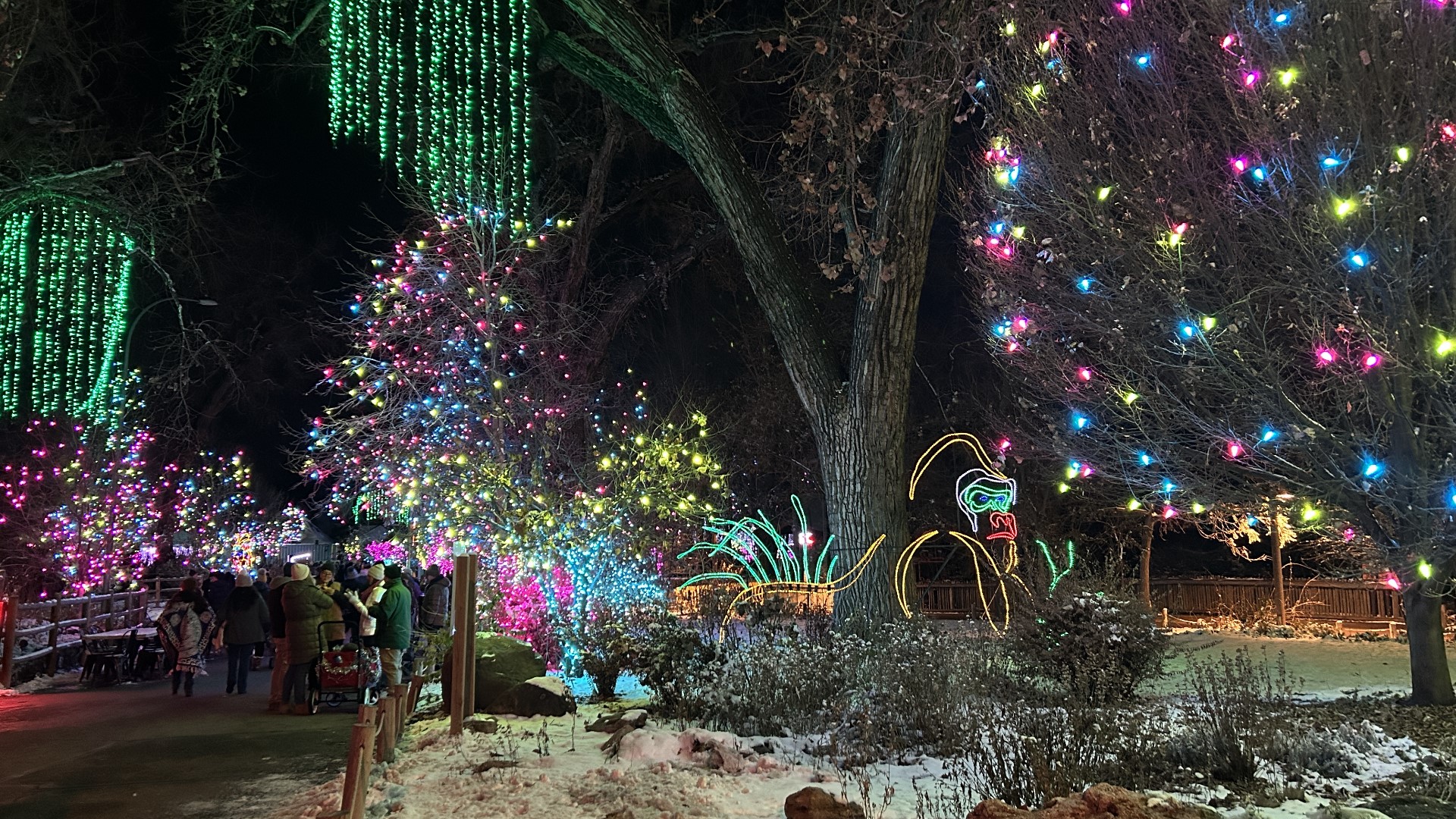 Denver Zoo Lights help attract visitors in winter months | 9news.com
