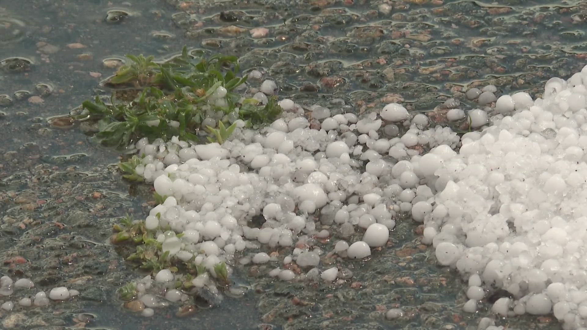 Storm system pounds Denver area with hail | 9news.com