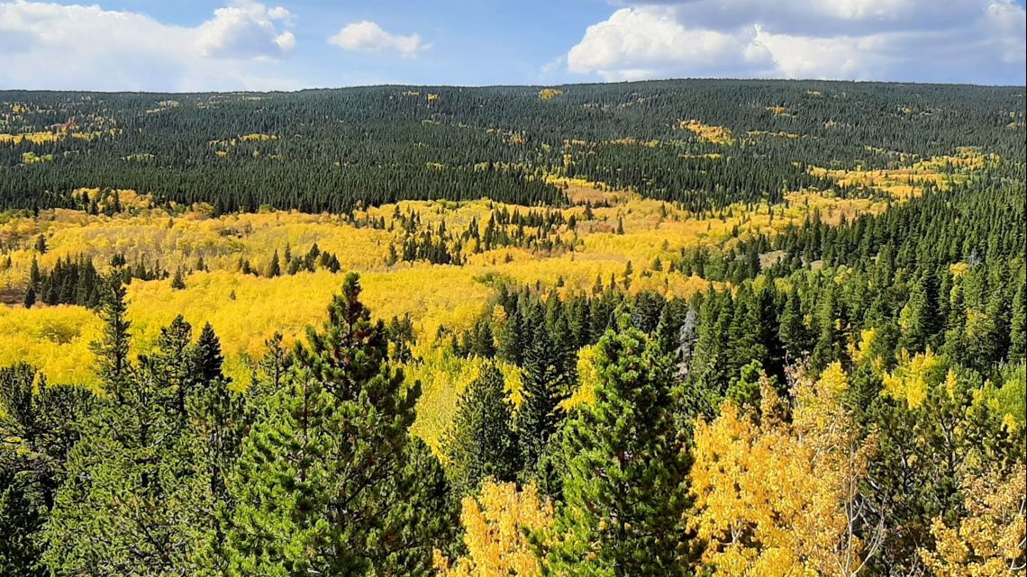 Colorado fall colors guide: When and where leaves peak in 2022 | 9news.com