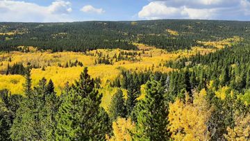 9 fun walks and hikes to see fall colors in Denver, Colorado | 9news.com