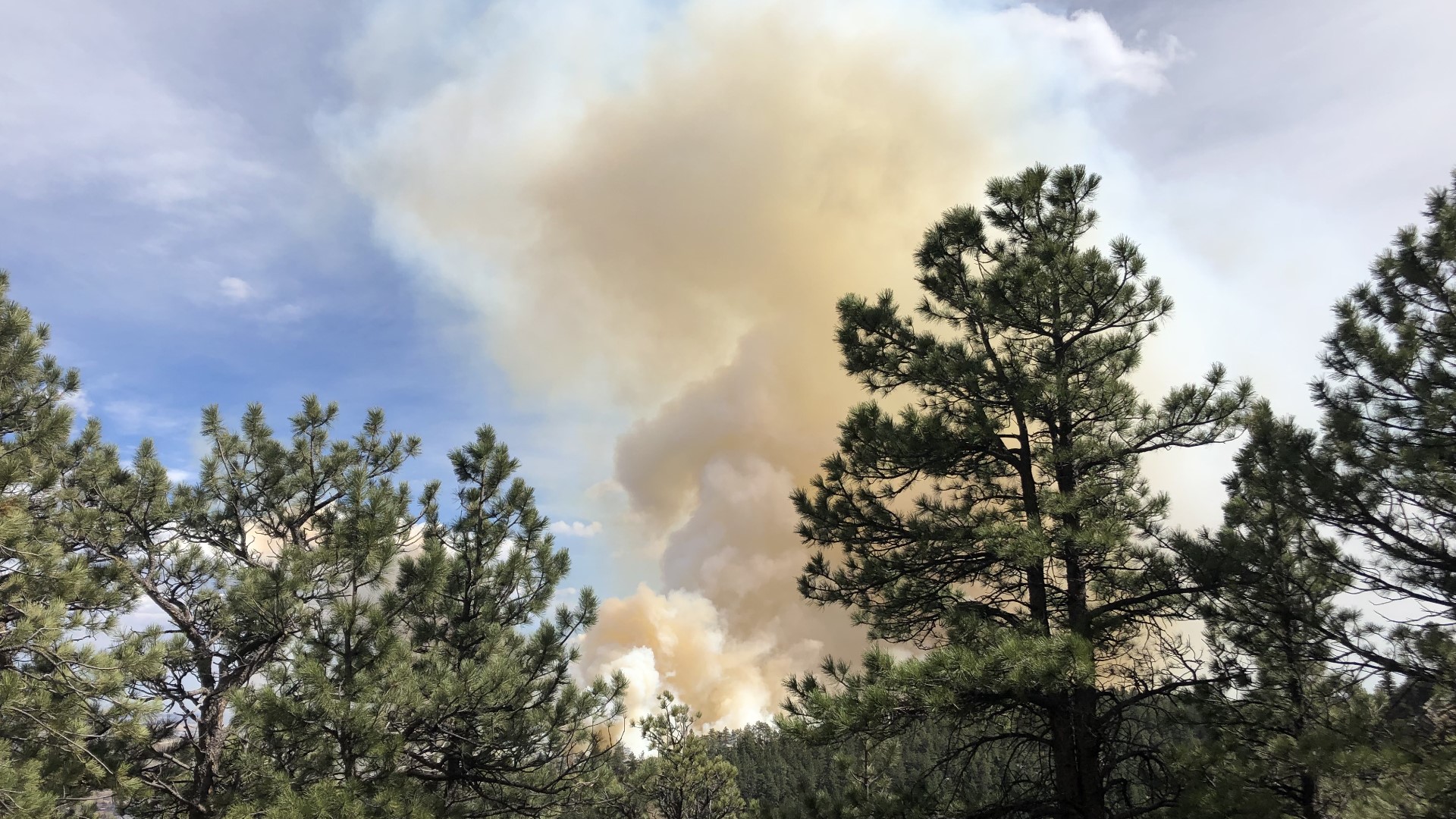 Did the snow help stop the NCAR Fire? | 9news.com