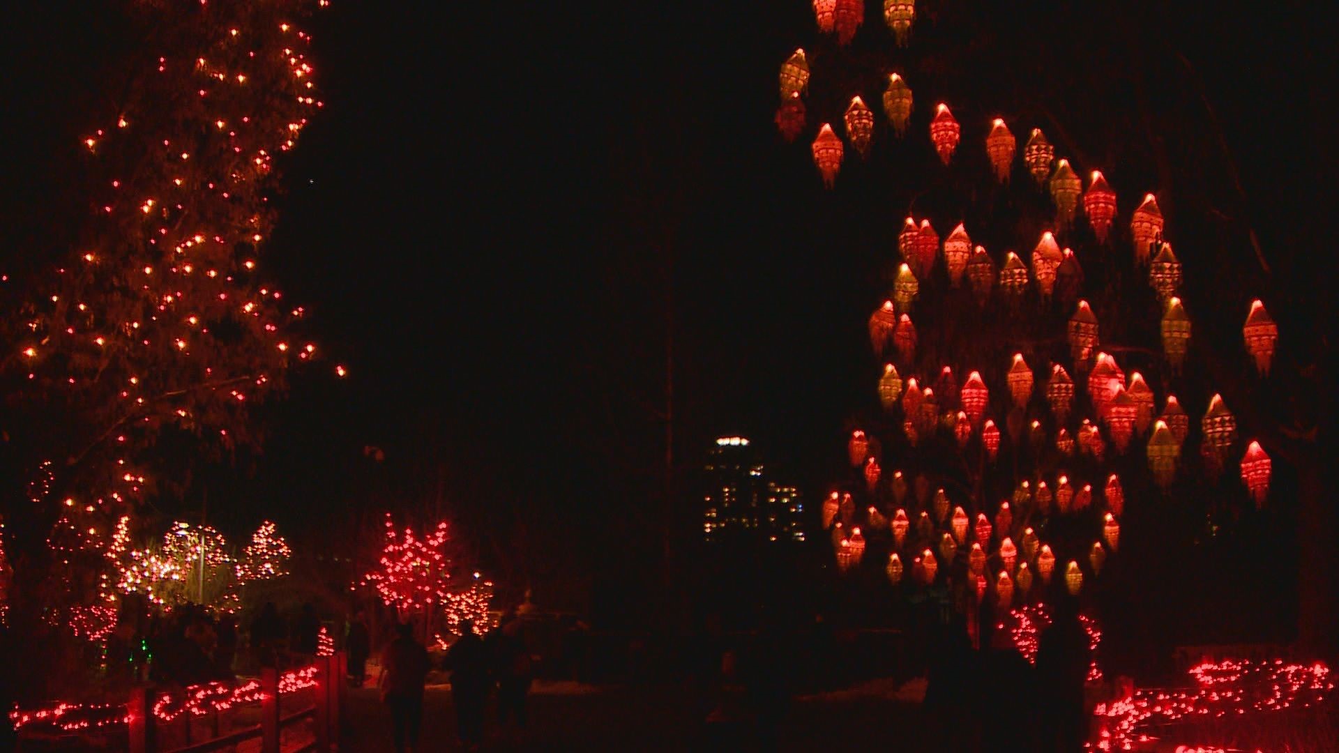 Denver Zoo Lights help attract visitors in winter months | 9news.com