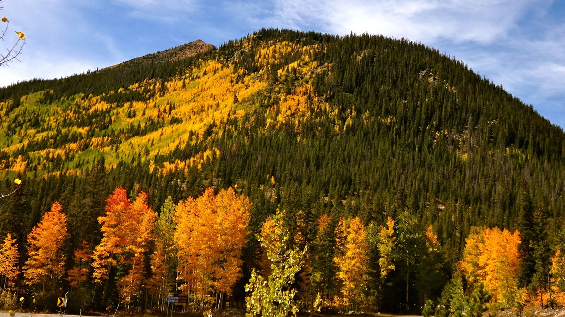 Colorado fall colors: When and where leaves will peak in 2020 | 9news.com