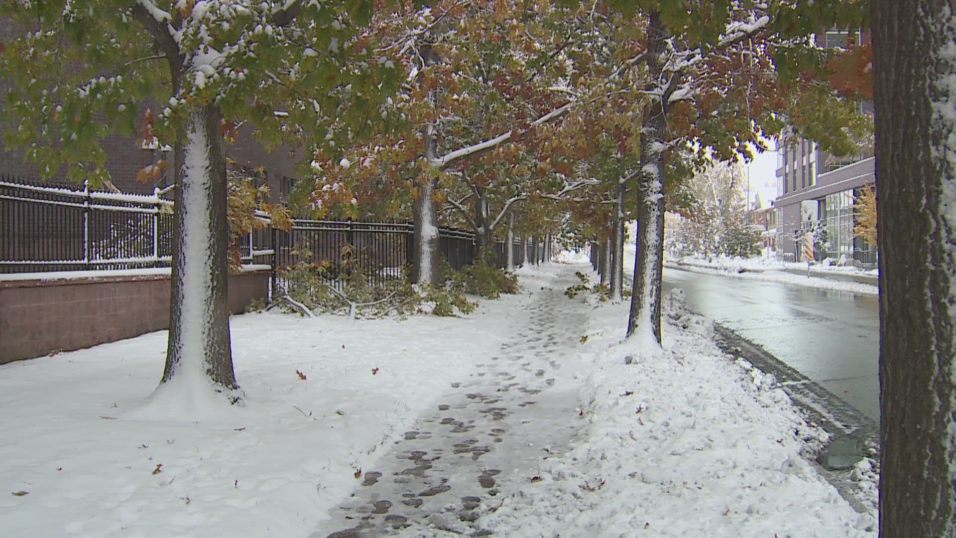 Denver snowfall brings down branches, causes power outages | 9news.com