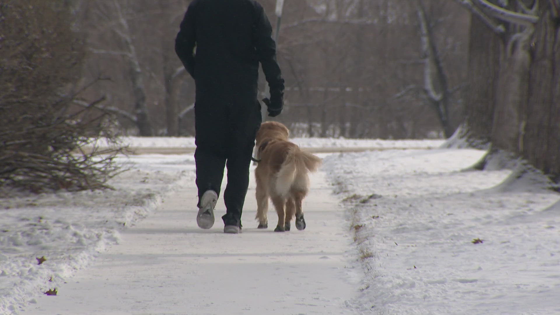 Europe's rising diversity is not reflected at the Winter Olympics ...