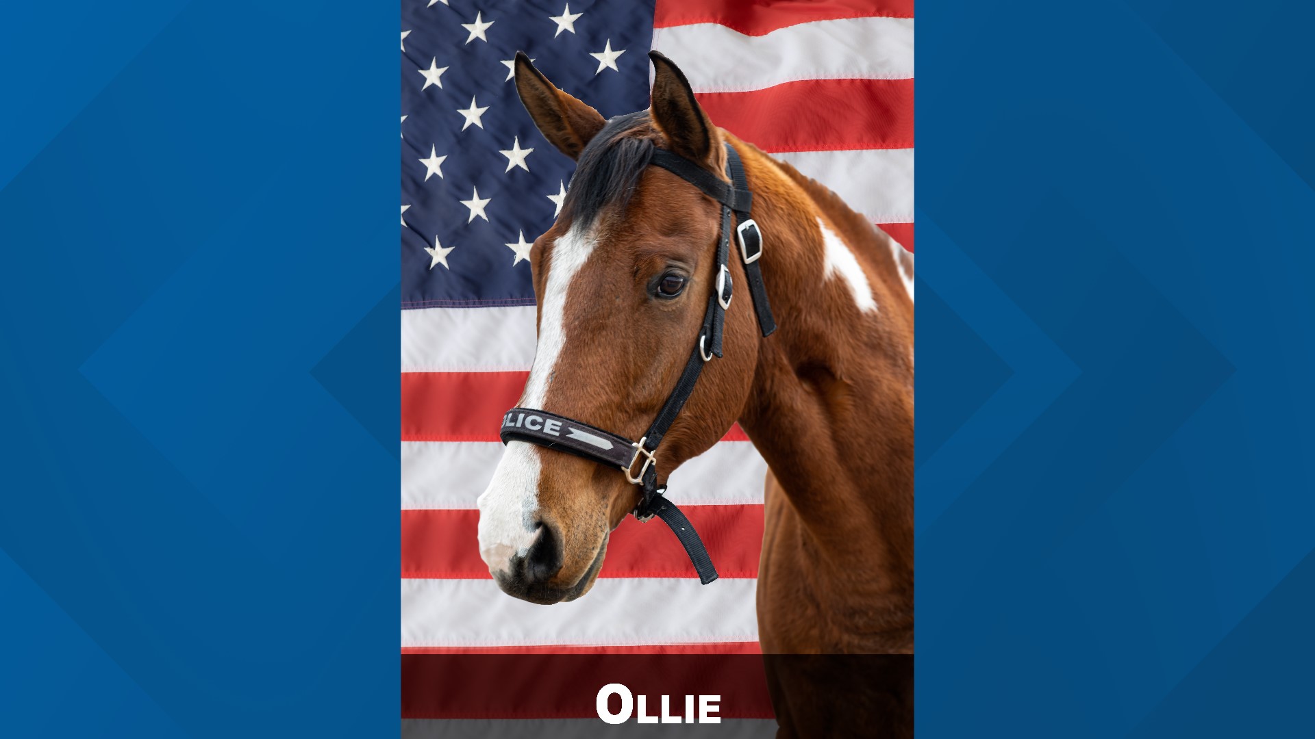 DPD operates the state's last full-time Mounted Patrol Unit | 9news.com