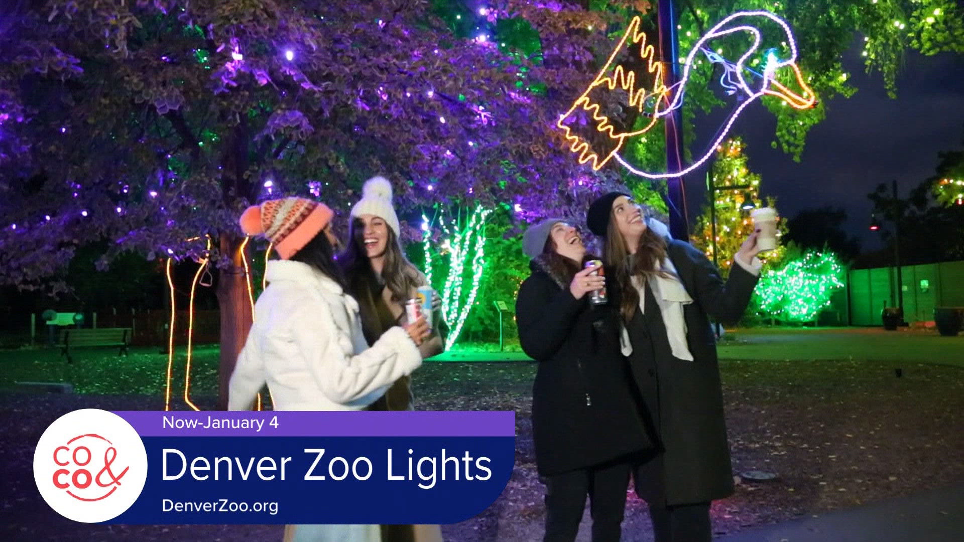 Experience a Denver Tradition - Zoo Lights! | 9news.com