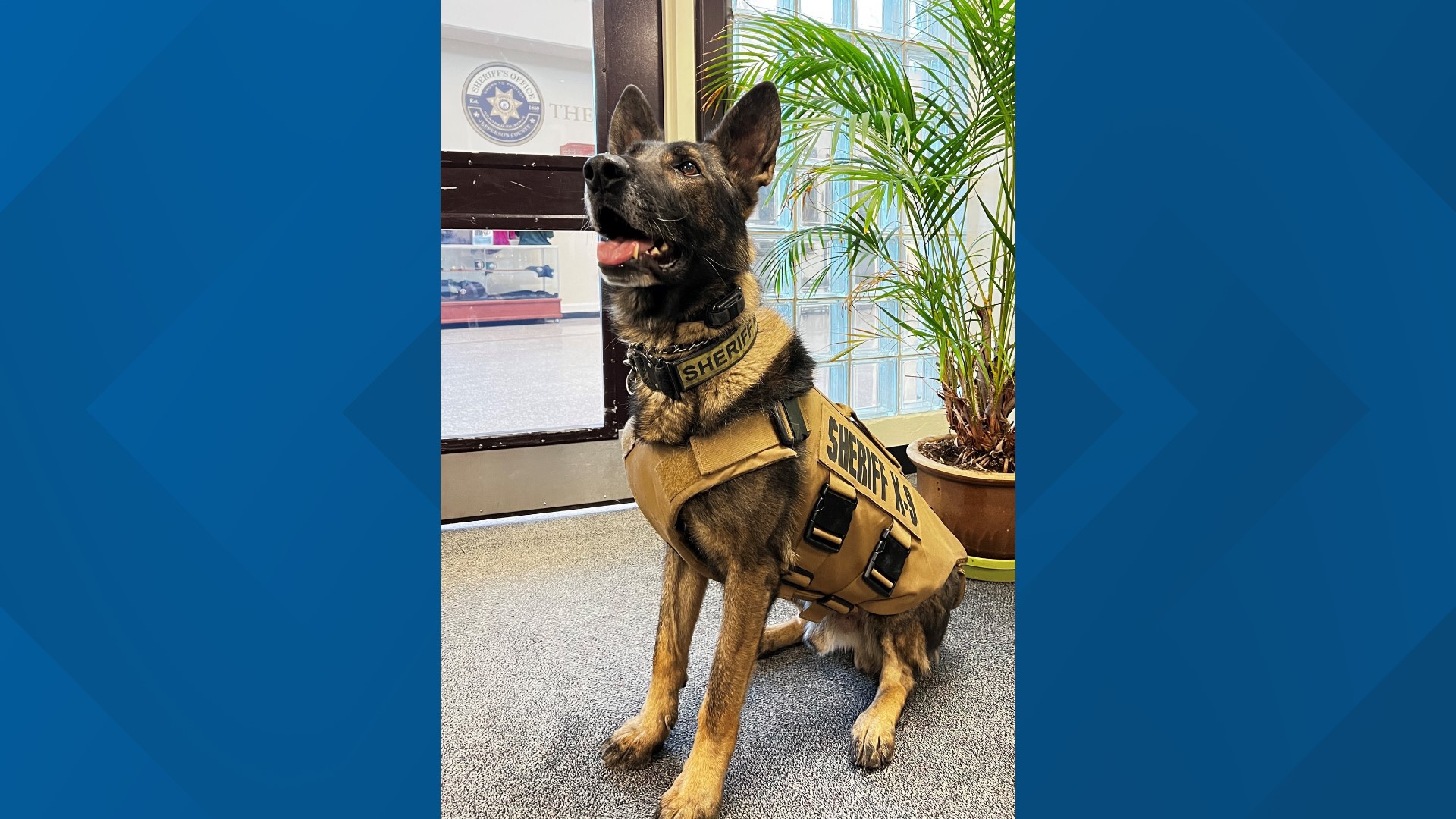 Jefferson County honors K9 Graffit with statue | 9news.com